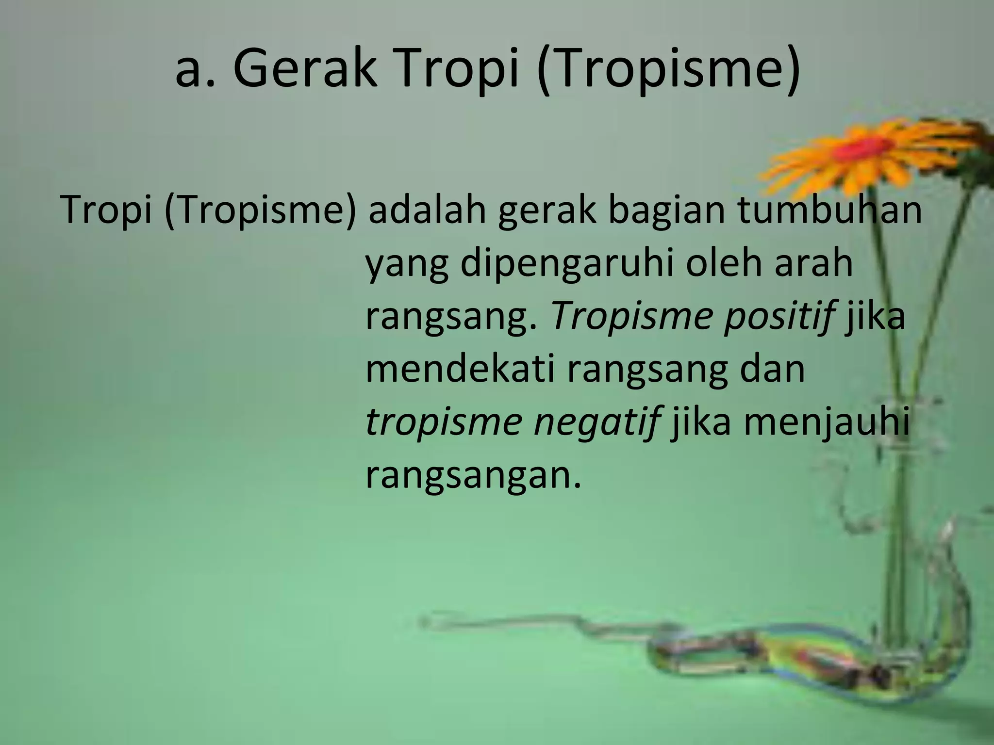 gerak pada tumbuhan | PPT