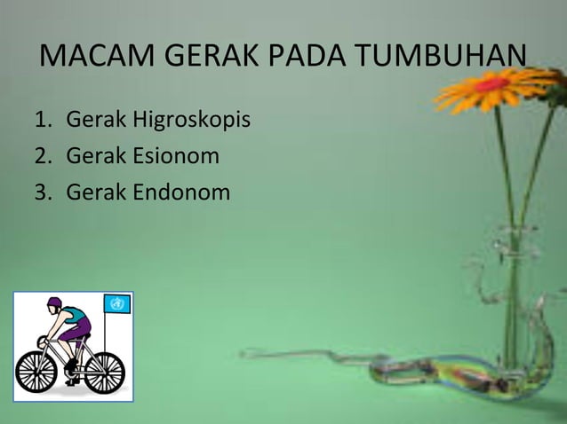 gerak pada tumbuhan | PPT