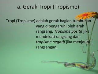 gerak pada tumbuhan | PPT