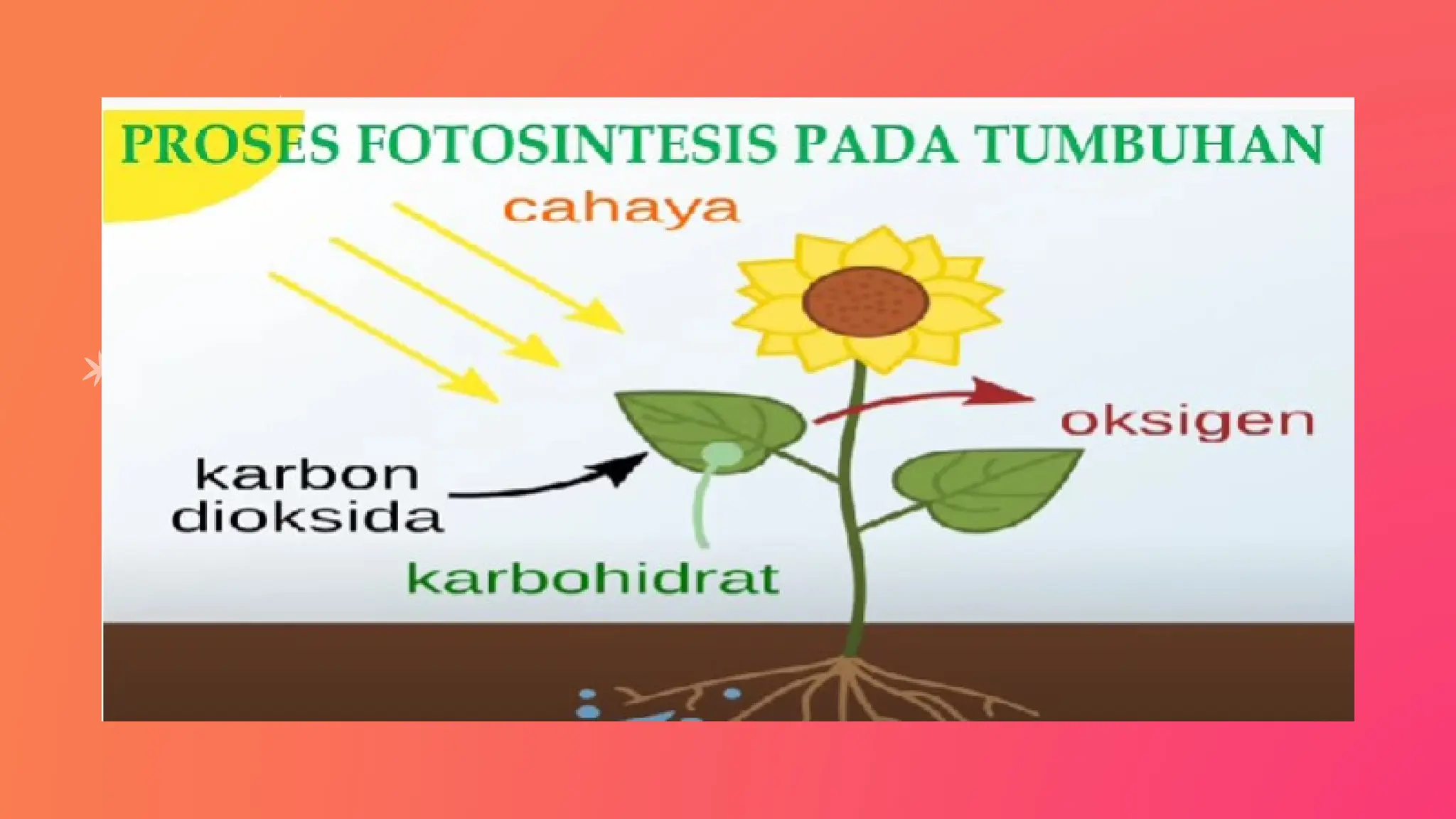 ppt fotosintesis mapel kelas 4 semester 1 | PPTX