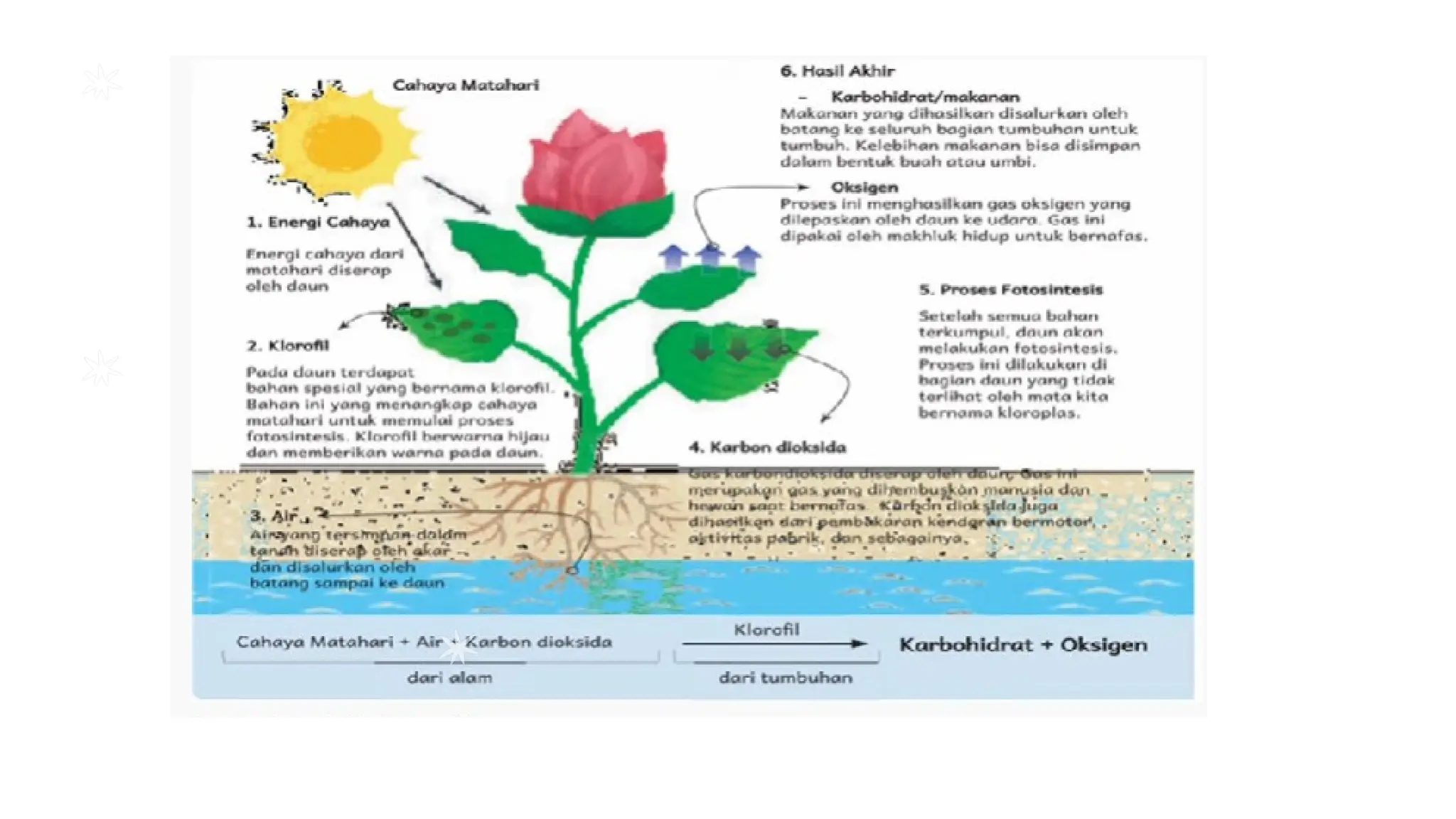 ppt fotosintesis mapel kelas 4 semester 1 | PPTX