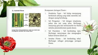 Mekanisme kerja fotosintesis, reaksi terang, proses translokasi | PPTX