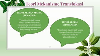 Prosess dan mekanisme kerja fotosintesis | PPT