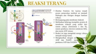 Prosess dan mekanisme kerja fotosintesis | PPTX