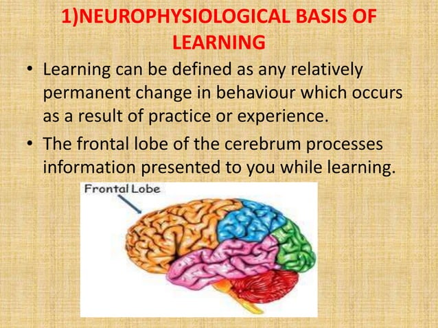 foundations of psycology | PPT