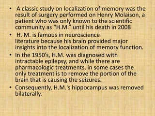 foundations of psycology | PPT