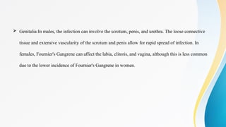 ppt Fournier's Gangrene.pptx medical surgical nursing | PPTX