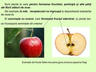 Ppt fructul | PPT