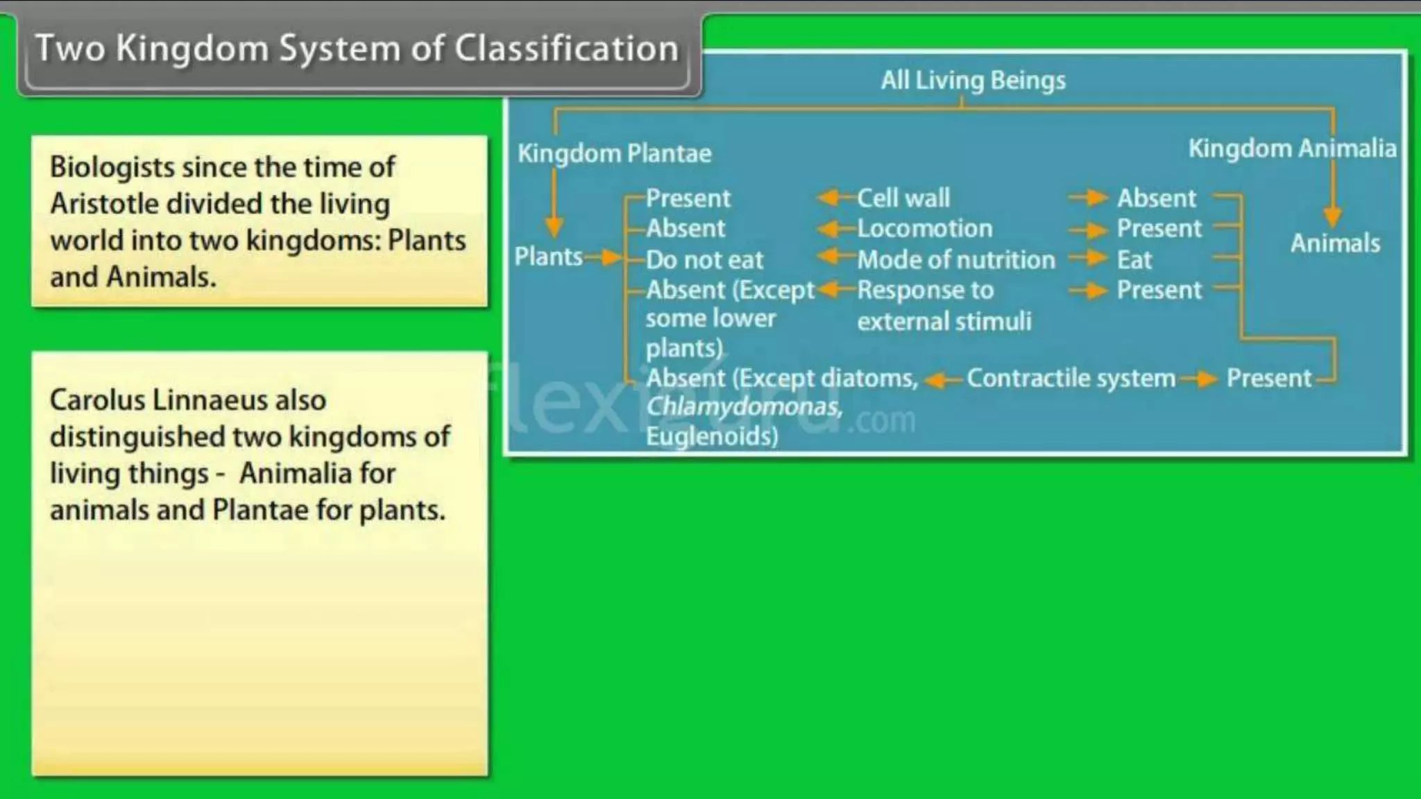 PPT FULL DIVERSITY IN THE LIVING ORGANISMS.pptx