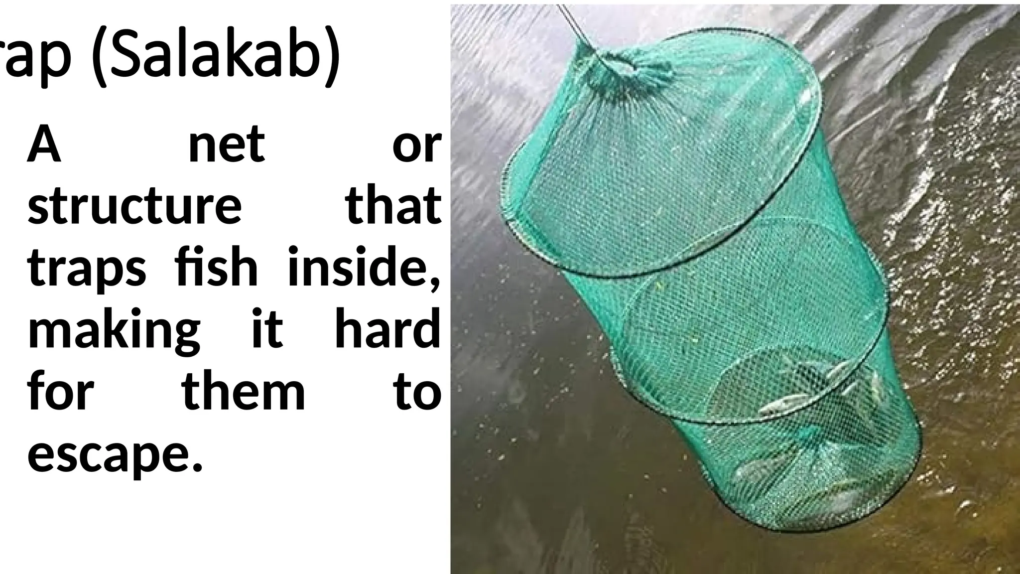 PPT G8Q1W3.pptx fishing gears and bait methods | PPTX