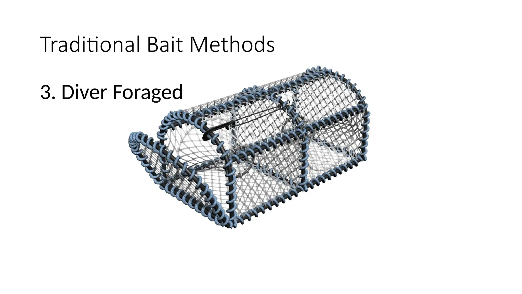 PPT G8Q1W3.pptx fishing gears and bait methods | PPTX