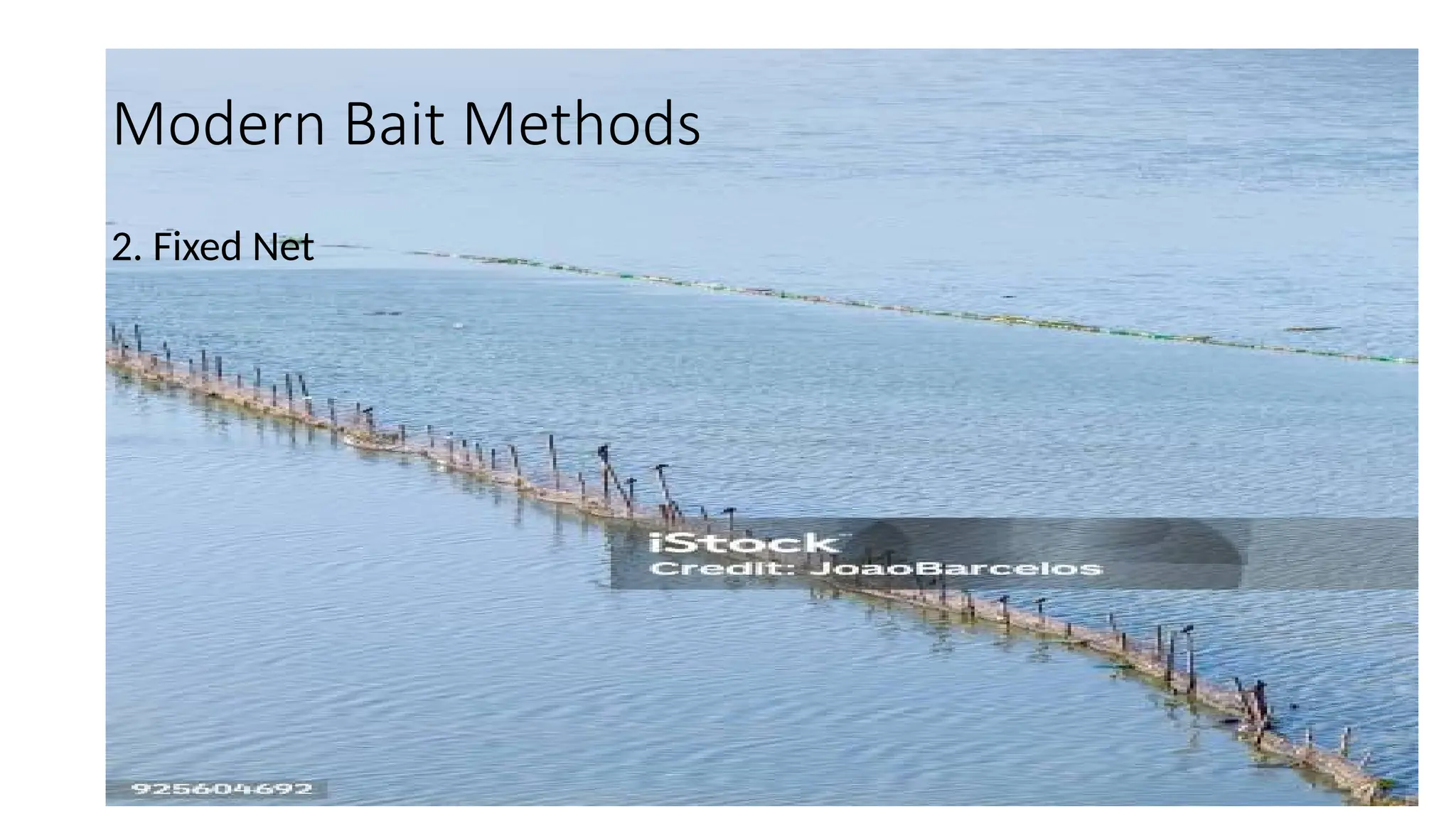 PPT G8Q1W3.pptx fishing gears and bait methods | PPTX