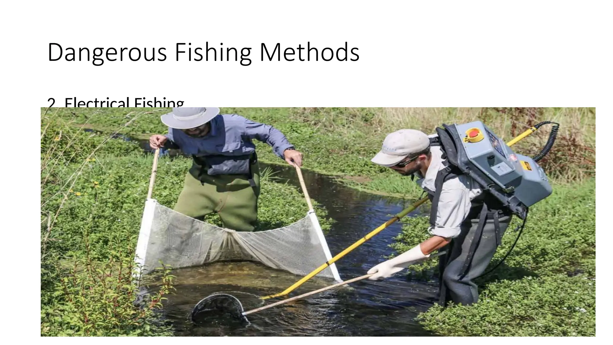 PPT G8Q1W3.pptx fishing gears and bait methods | PPTX