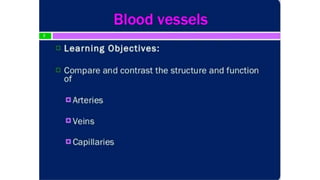 Blood vessels pathophysiology | PPT