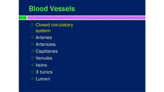 Blood vessels pathophysiology | PPT