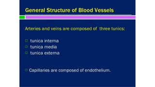 Blood vessels pathophysiology | PPT