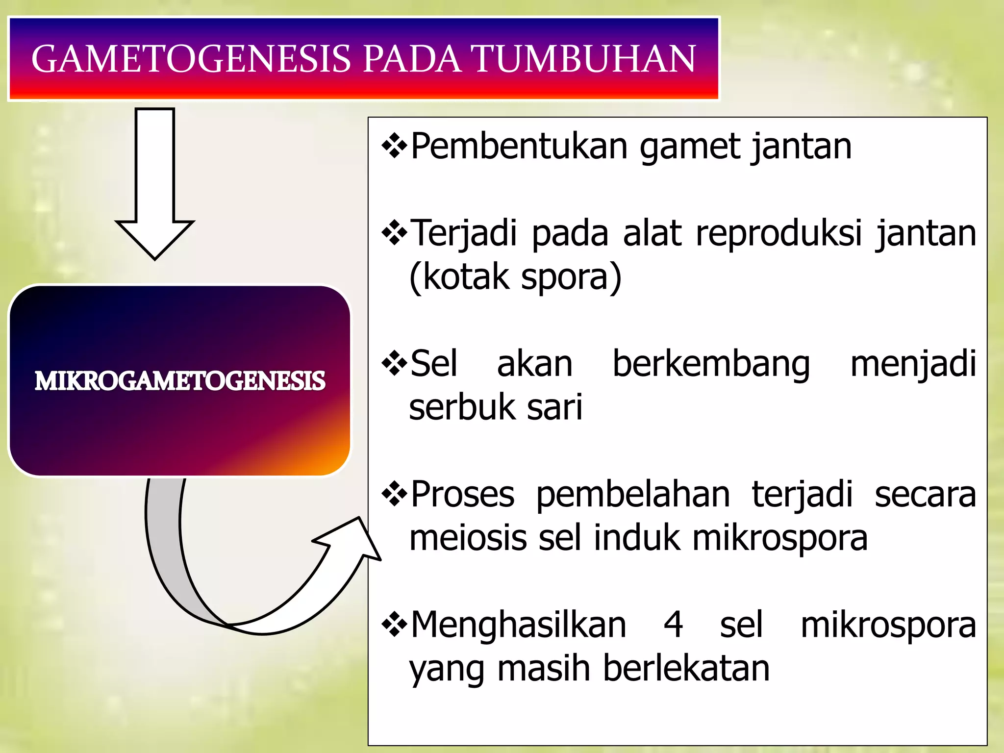 PPT gametogenesis.pptx