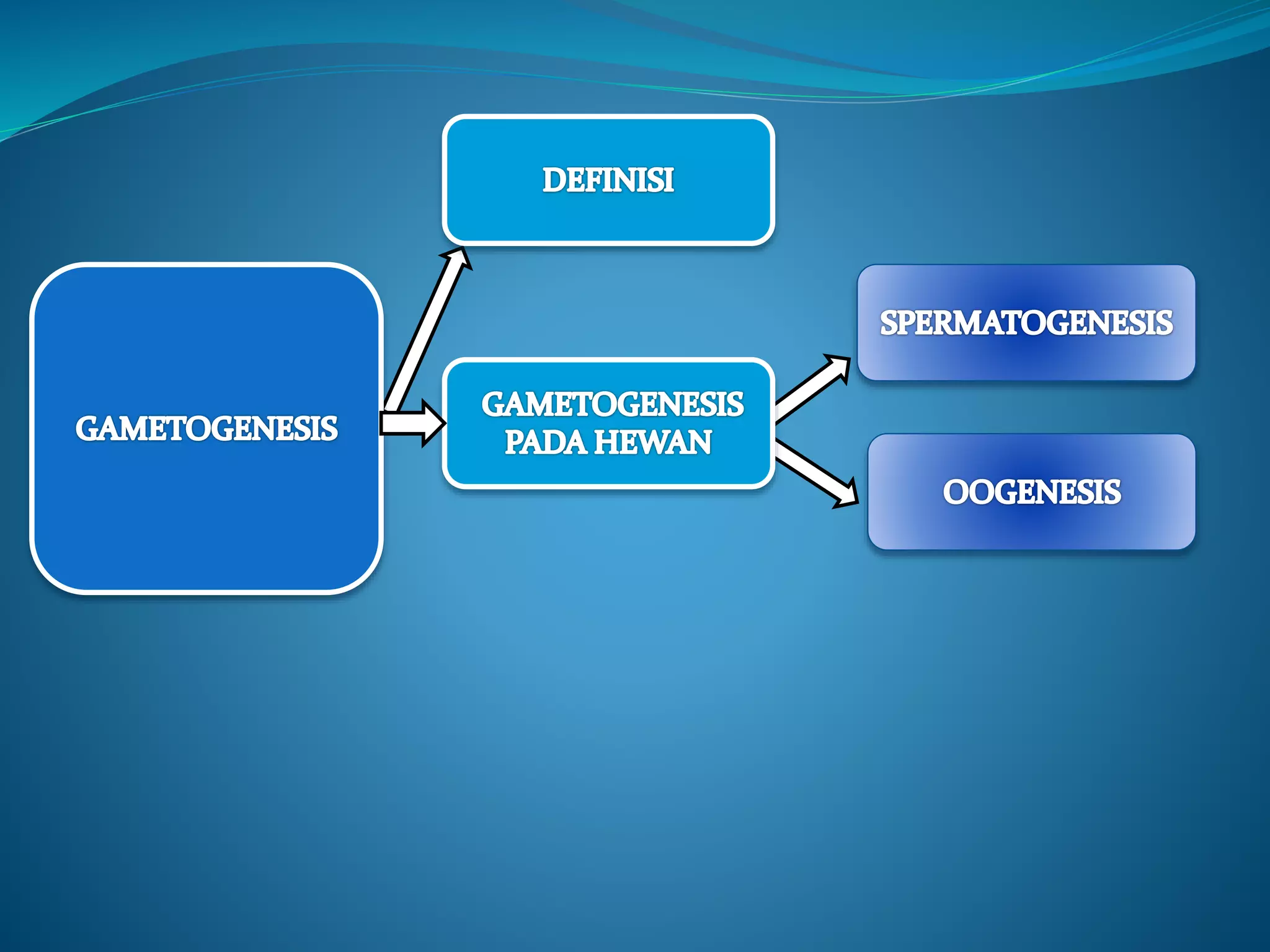 PPT gametogenesis.pptx