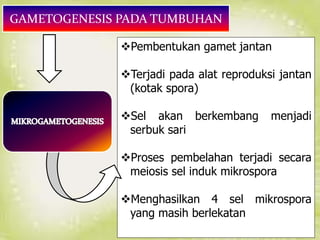 PPT gametogenesis.pptx