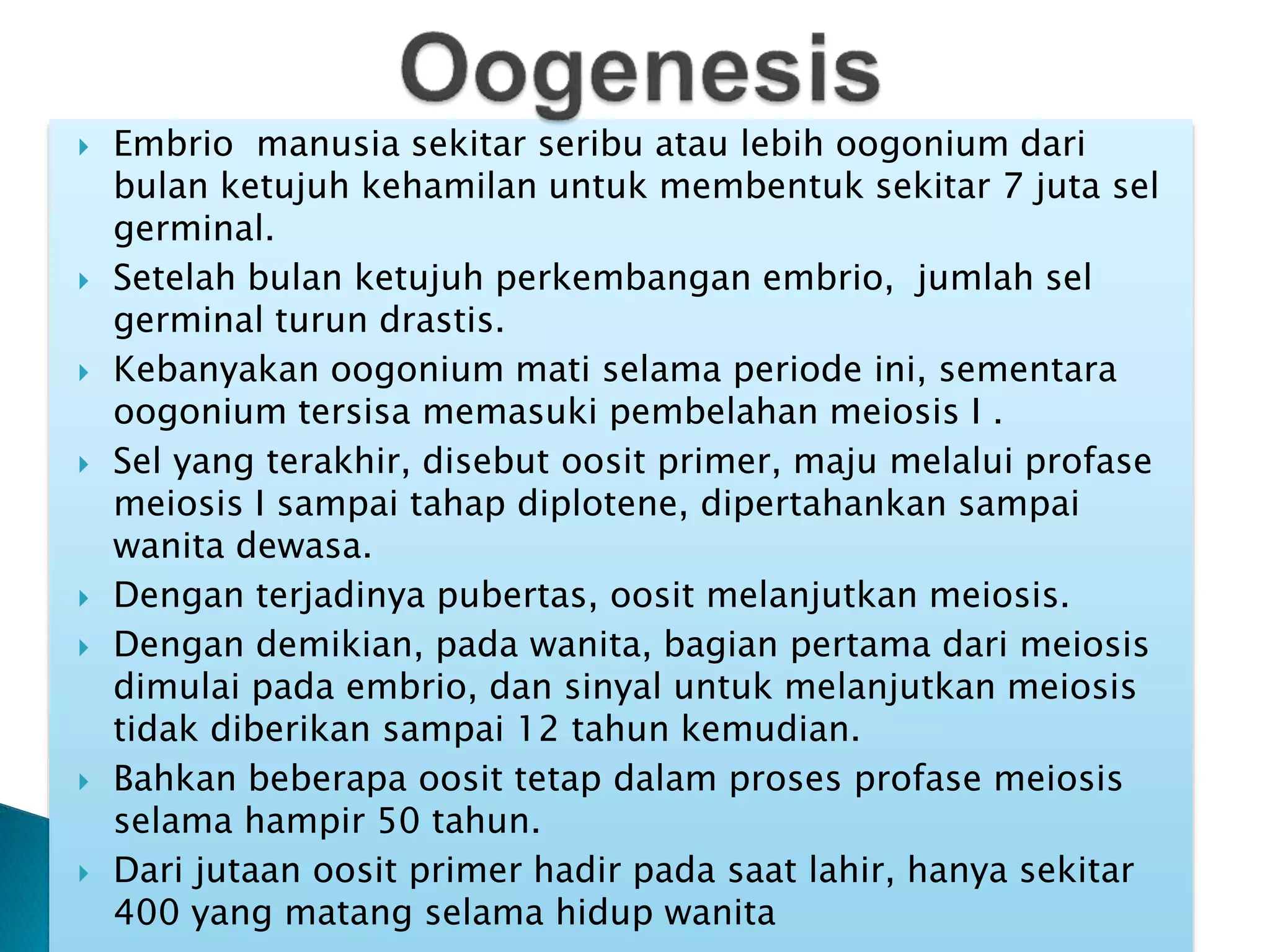 Gametogenesis pada mamalia | PPTX