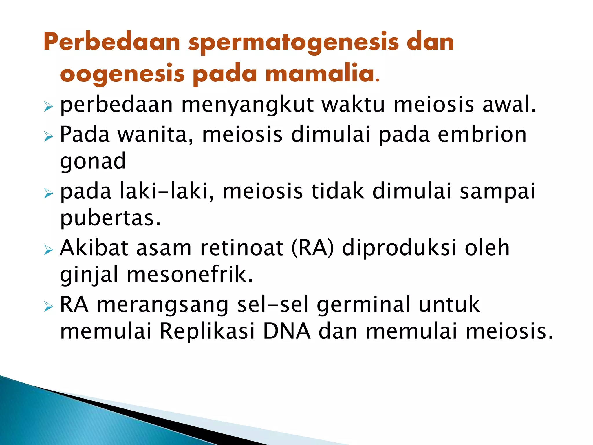 Gametogenesis pada mamalia | PPTX