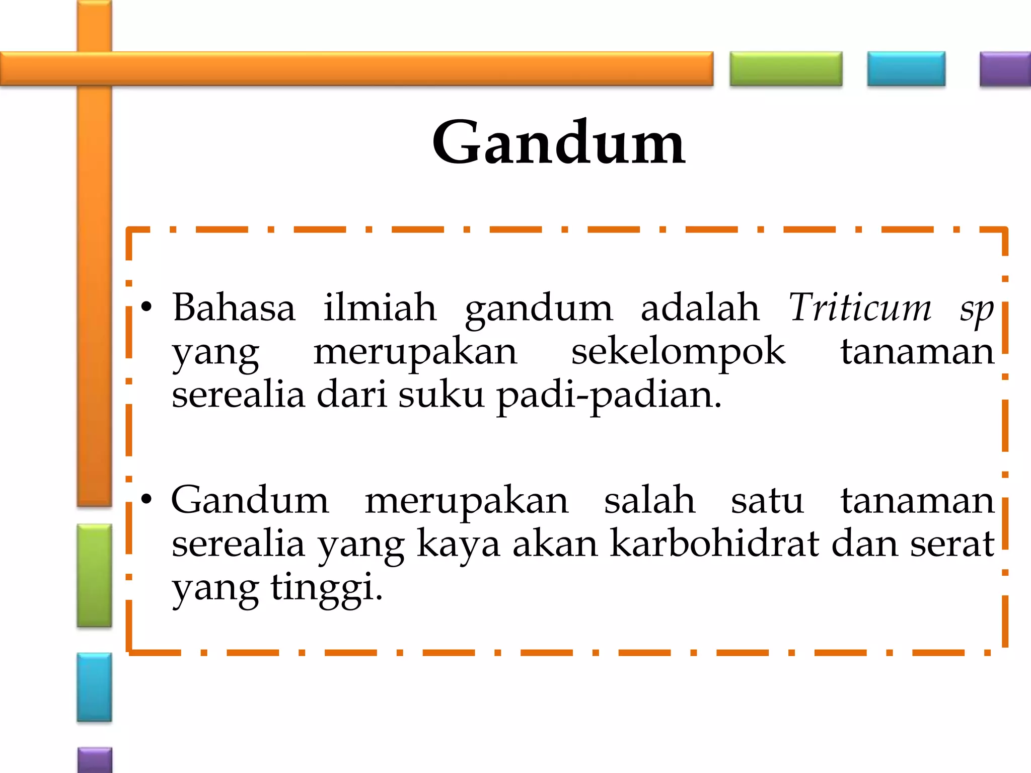 Power Point Karakteristik Gandum | PPTX