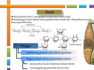Power Point Karakteristik Gandum | PPTX