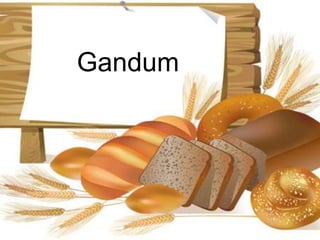 Power Point Karakteristik Gandum | PPTX