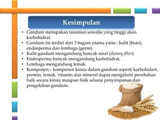 Power Point Karakteristik Gandum | PPTX