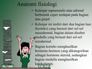 Gangguan hormon adrenal | PPTX
