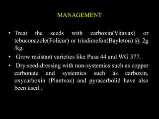 Loose smut and flag smut of wheat | PPTX