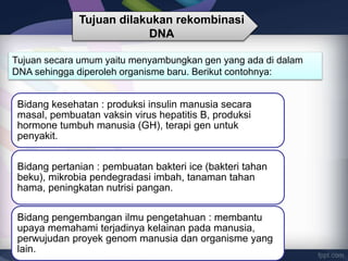 PPT GENETIKA DNA REKOMBINAN.ppt