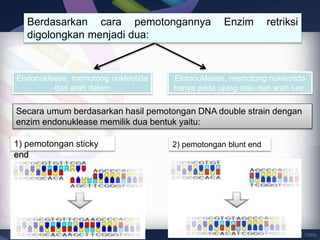 PPT GENETIKA DNA REKOMBINAN.ppt