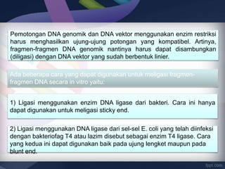 PPT GENETIKA DNA REKOMBINAN.ppt