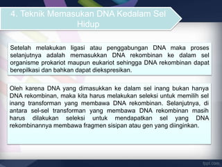 PPT GENETIKA DNA REKOMBINAN.ppt