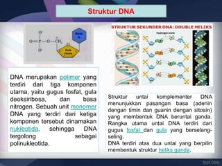 PPT GENETIKA DNA REKOMBINAN.ppt