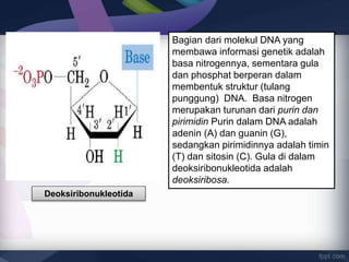 PPT GENETIKA DNA REKOMBINAN.ppt