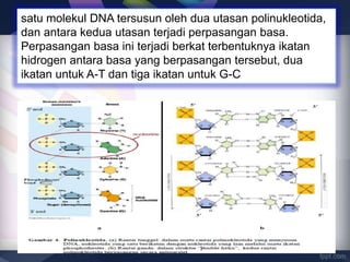 PPT GENETIKA DNA REKOMBINAN.ppt
