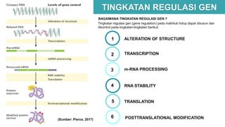 Pengendalian Gen (Gene Regulations) | PDF