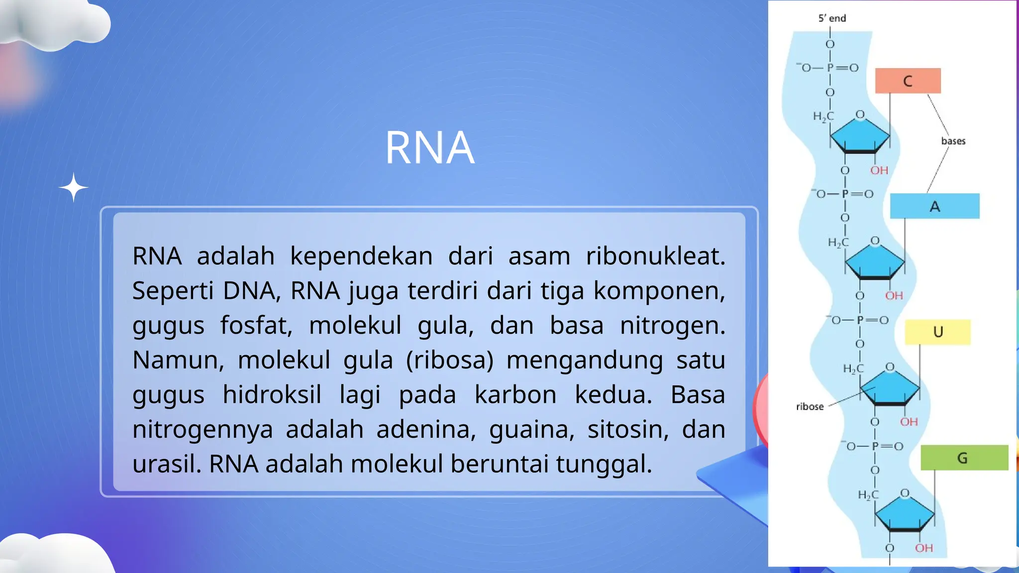 PPT GENMOL_CENTRAL DOGMA_RYAN REYHAN ZUKHRI_2210427001.pptx