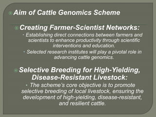 CATTLE GENOMICS SCHEME | PPTX