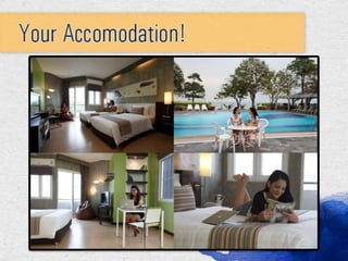 Webster University Thailand General Presentation | PPTX | College ...