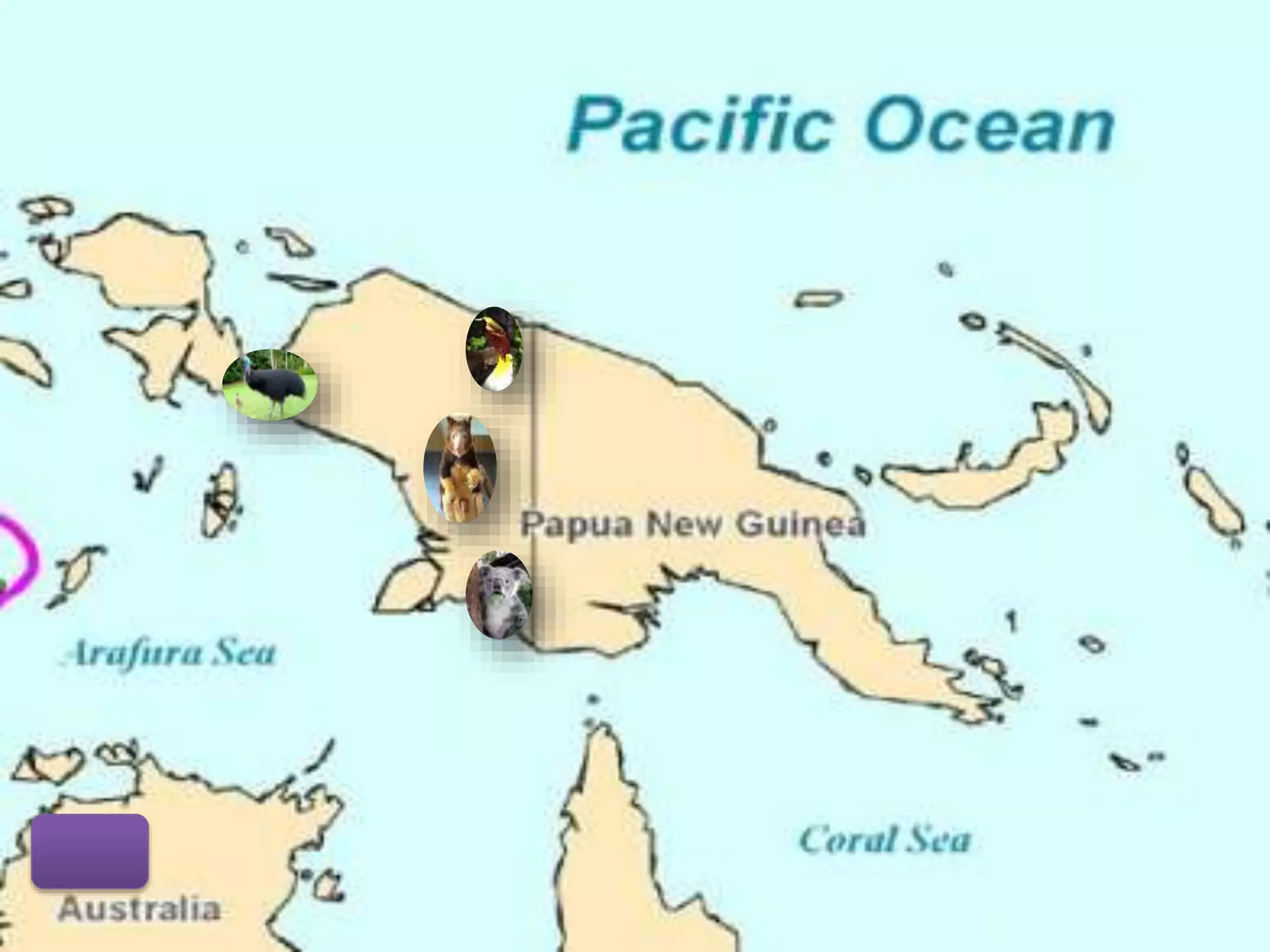 KEANEKARAGAMAN FLORA DAN FAUNA BAGIAN TIMUR | PPTX