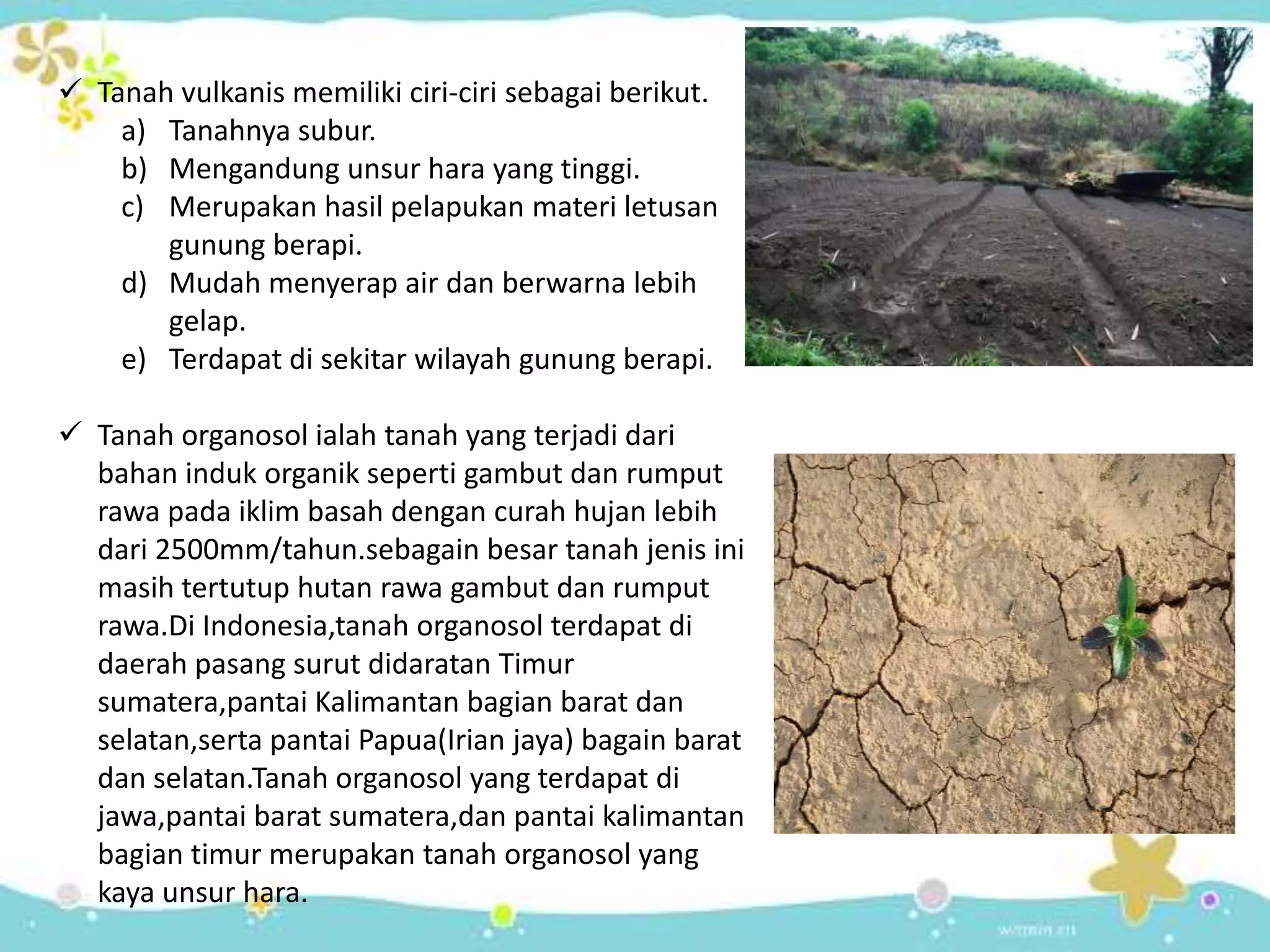 Ppt geo pedosfer | PPTX