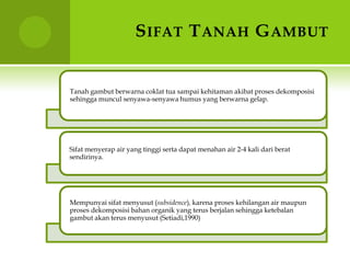 Perbaikan Tanah Gambut | PPTX