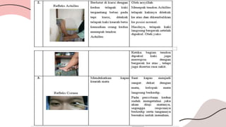 PPT Gerak Refleks.pptx