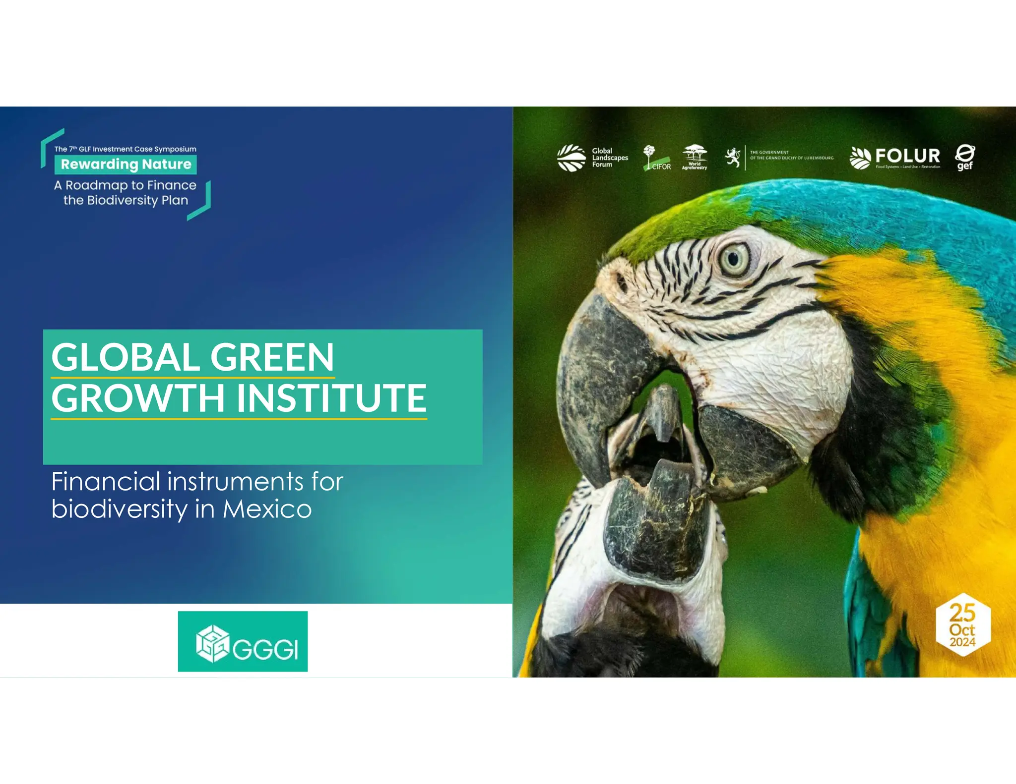 Global Green Growth Institute – Financial instruments for biodiversity ...