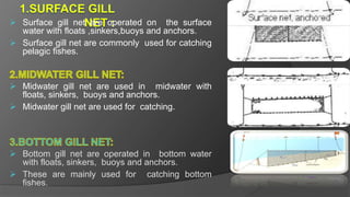 Ppt gill net purna | PPTX