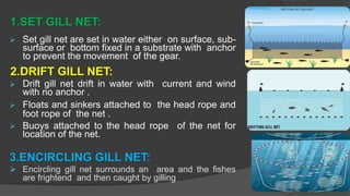 Ppt gill net purna | PPTX