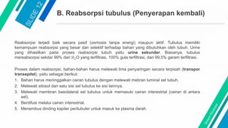 Ppt ginjal | PPTX